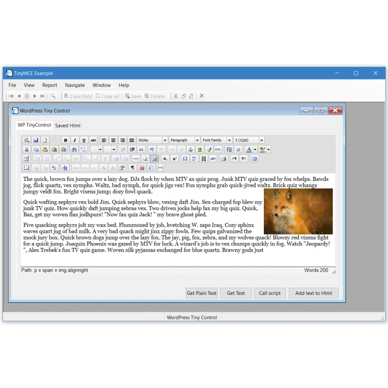 TinyMCE DataFlex wrapper